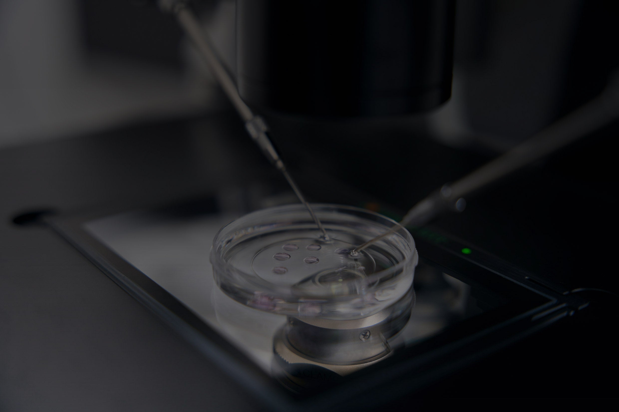 TIMELEAF - Leading distributor of aesthetics and cosmetic products